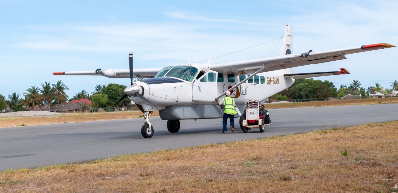 Un avion s'écrase aux États-Unis à cause... d'une tortue - aufeminin.com